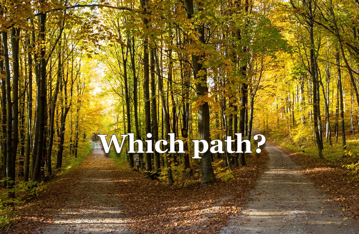 Wisely Narrow Your Decisions: Wants vs. Needs - Tyler Cazier